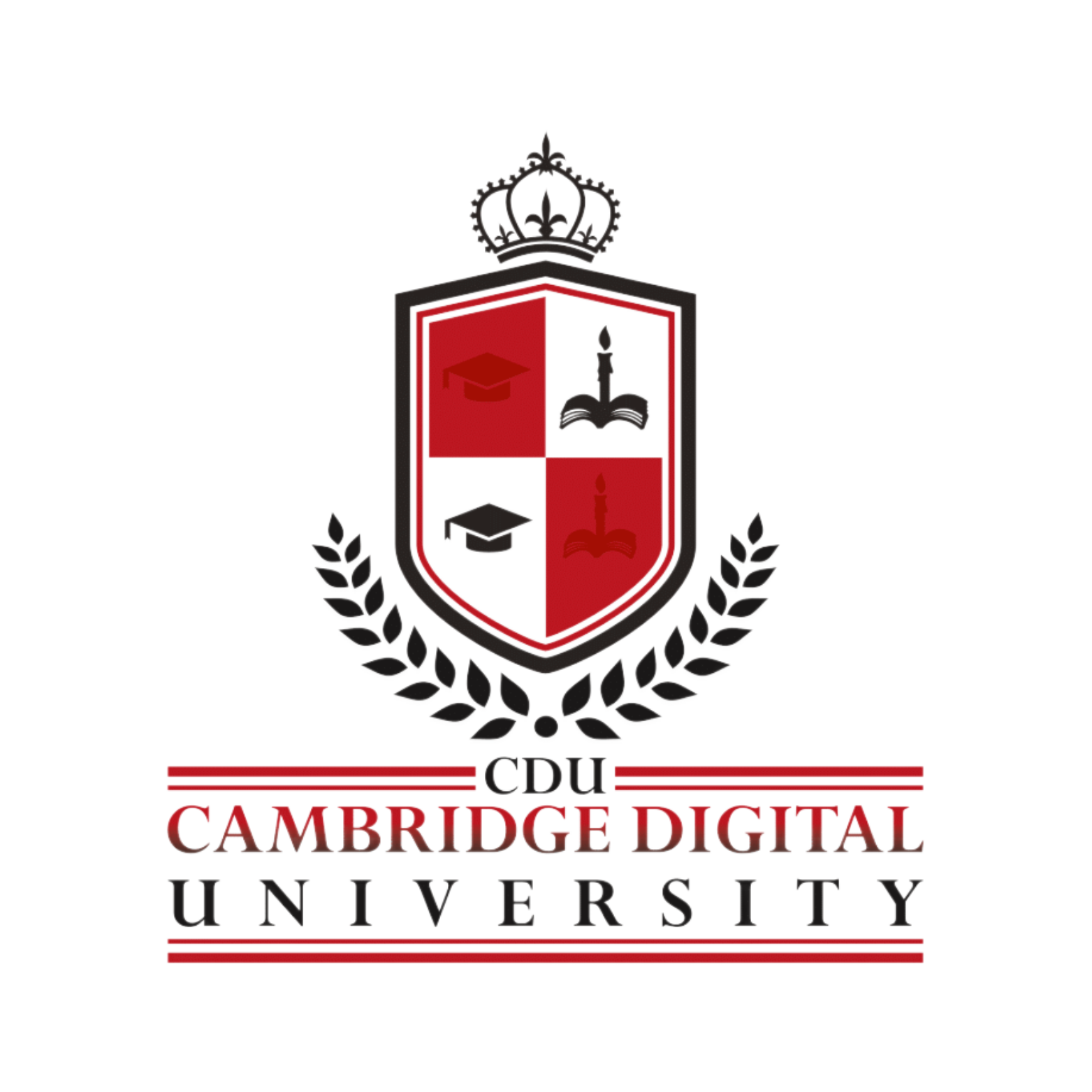 Cambridge Digital University